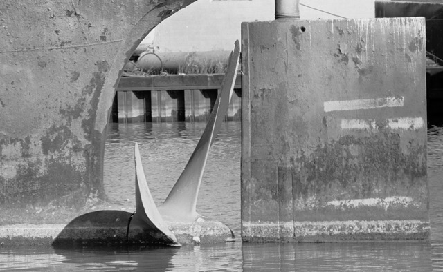 Gallery | Cape Cod Images and Sculpture